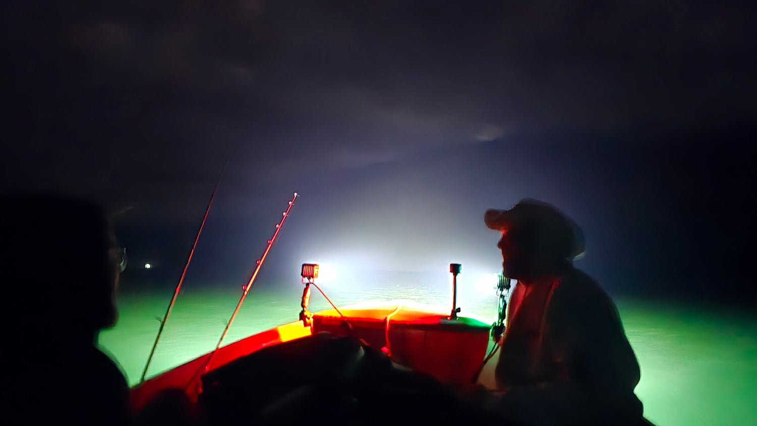 Choosing the Best Red Hunting Light for Coyotes, Hogs, and Other Preda ...