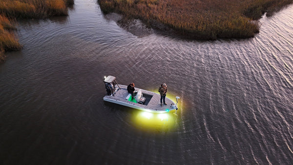 4 Inch LED Light for Flounder Gigging & Bowfishing - Black Oak LED
